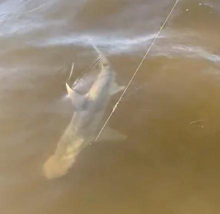 Take Up The Slack Guide Service – 24' - Updated 2024 Prices