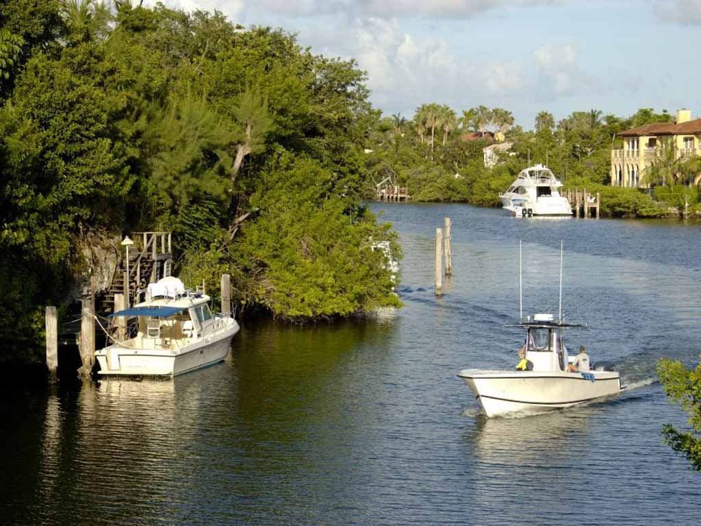 How to Go Fly Fishing in Miami: The Complete Guide (Updated 2023)