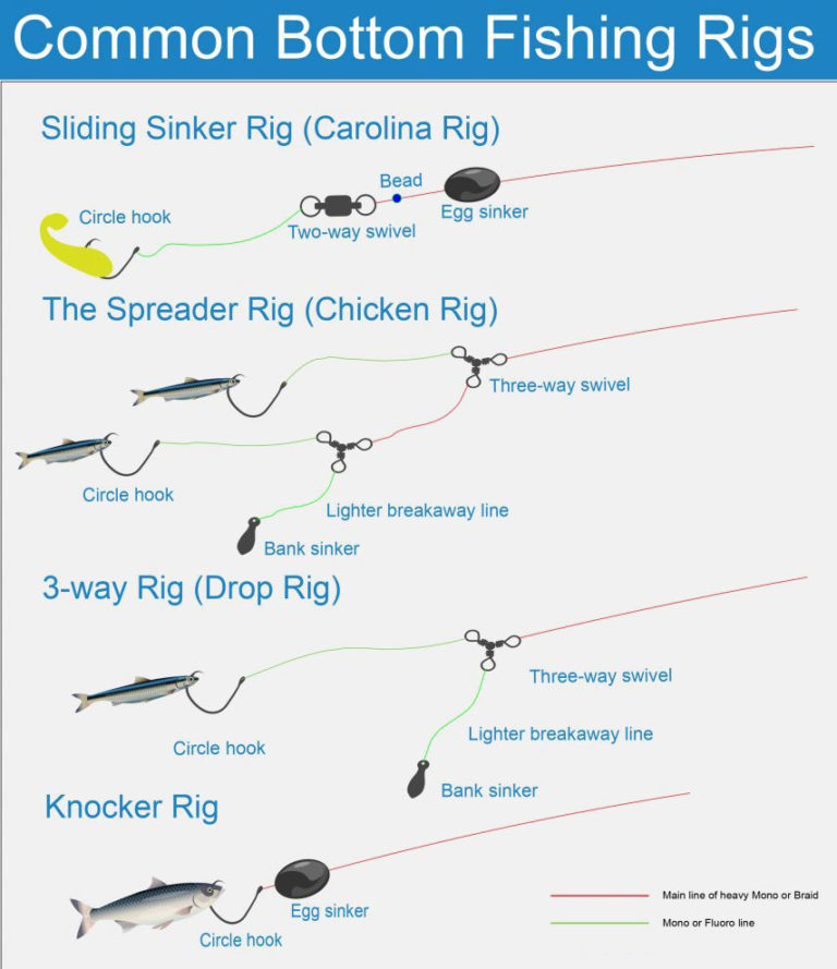 How to Go Bottom Fishing: The Complete Guide (Updated 2023)