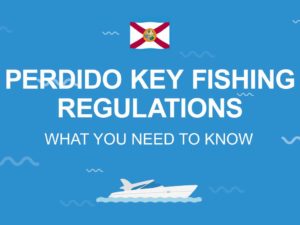 Perdido Key Fishing: The Complete Guide (Updated 2023)