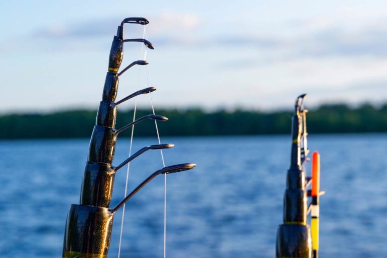 How to Choose a Fishing Rod: The Complete Guide (Updated 2023)