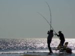 Boca Raton Fishing: The Complete Guide (Updated 2023)