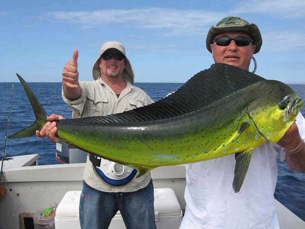 Ensenada Fishing: The Complete Guide (Updated 2023)