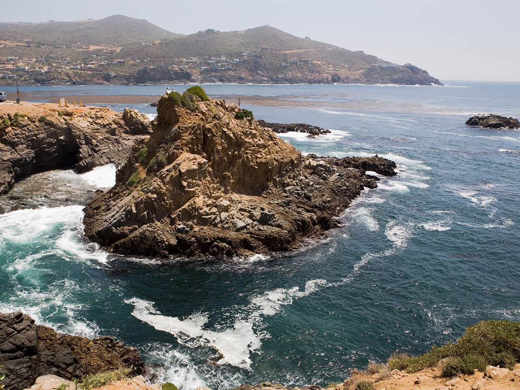 Ensenada Fishing: The Complete Guide (Updated 2023)