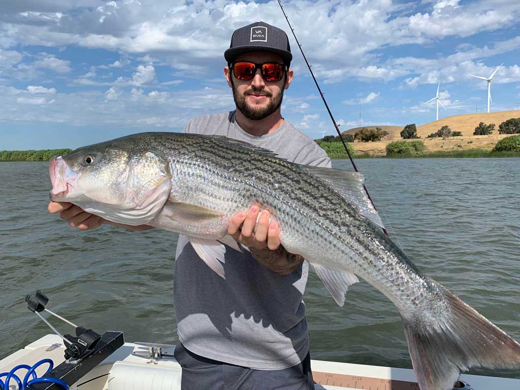 Bay Area Fishing: The Complete Guide (Updated 2023)