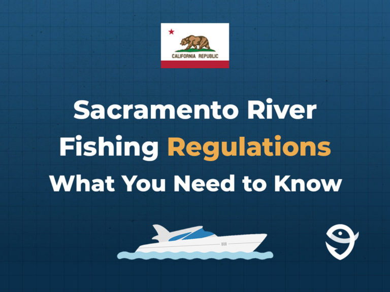 Sacramento River Fishing: The Complete Guide (Updated 2023)