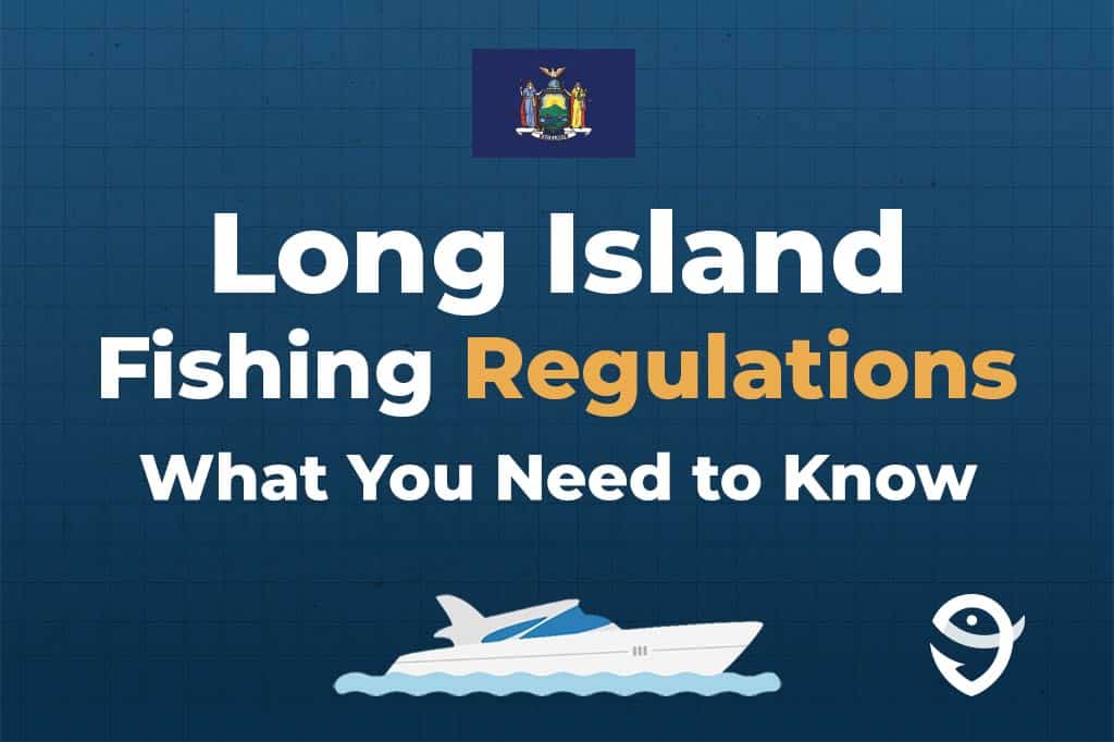 Long Island Fishing: The Complete Guide (Updated 2023)