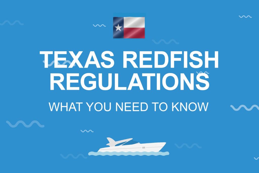 Texas Redfish: An Angler’s Guide