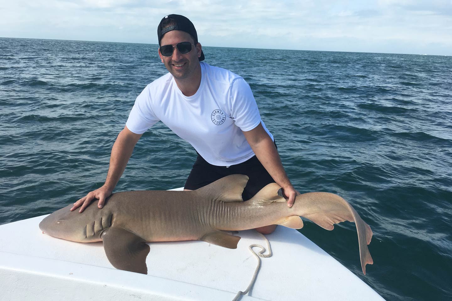 How to Fish for Shark in Florida: The Complete Guide (Updated 2023)