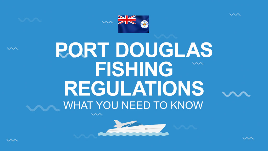 Port Douglas Fishing: The Complete Guide (Updated 2023)