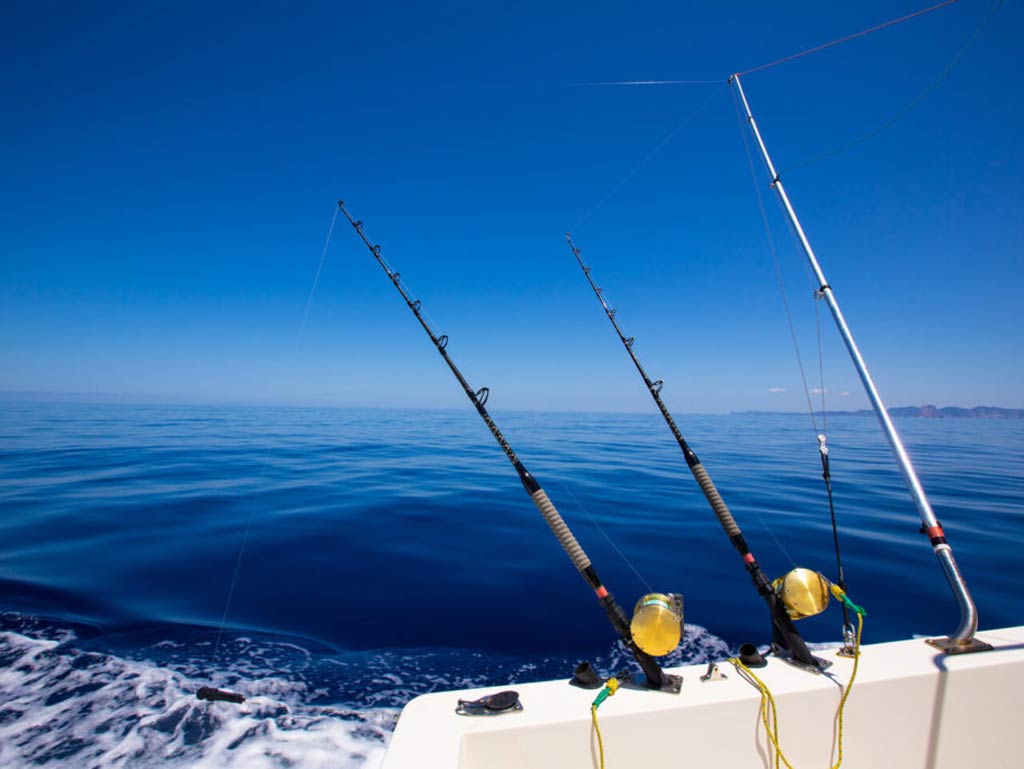 How to Go Deep Sea Fishing in Cancun: The Complete Guide (Updated 2023)