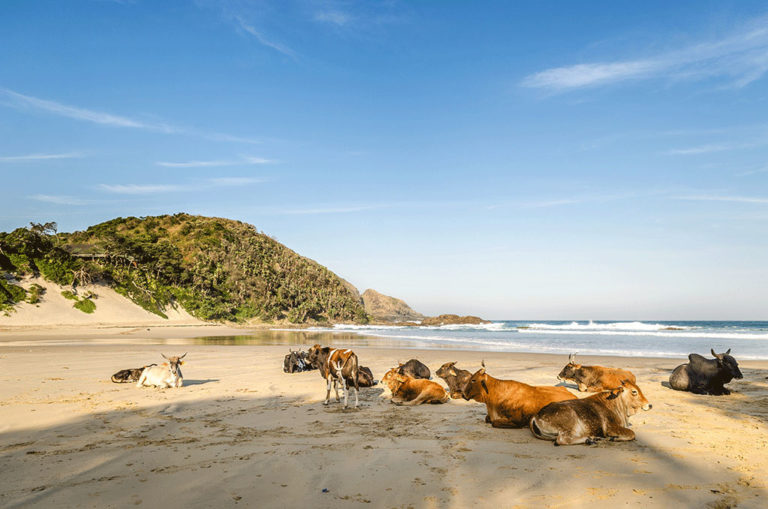 The Best Fishing Spots in South Africa: Top 8