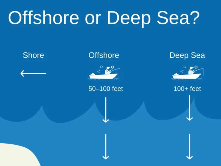 How to Go Deep Sea Fishing: The Complete Guide