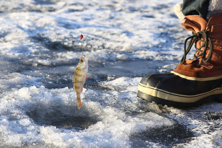 How to Go Ice Fishing for Perch: The Complete Guide (Updated 2023)