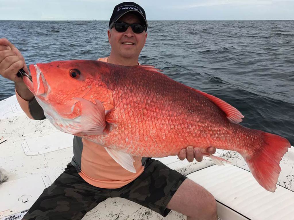 Deep Sea Fishing in Tampa: The Complete Guide