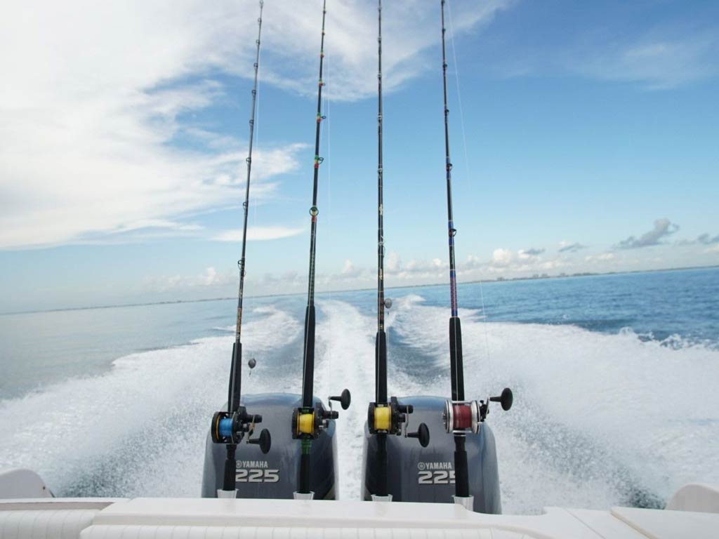 Deep Sea Fishing in Costa Rica: The Complete Guide (Updated 2023)