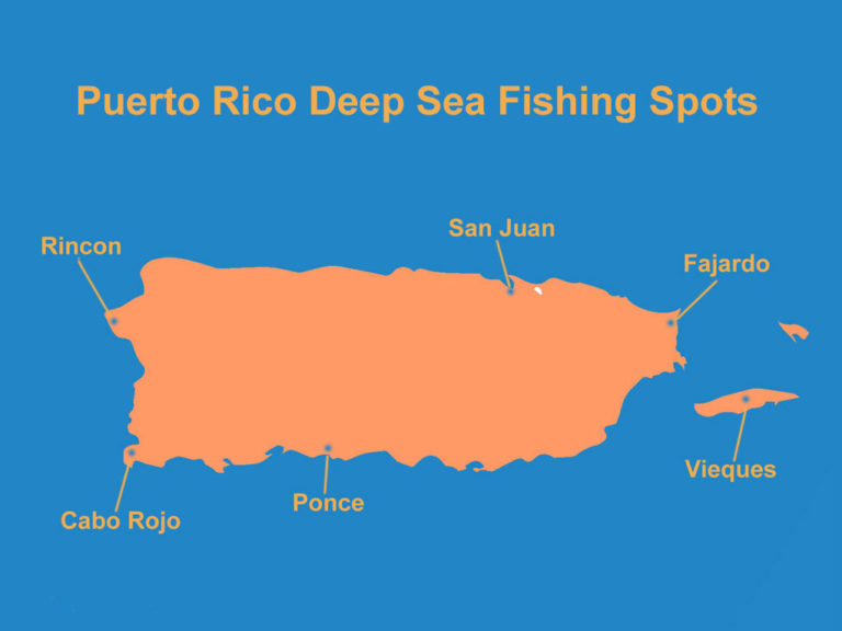 Deep Sea Fishing in Puerto Rico: The Complete Guide