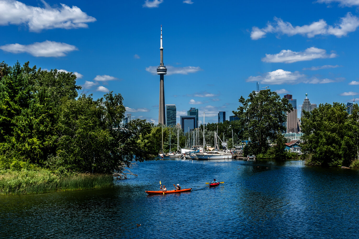 Toronto Fishing: The Complete Guide (Updated 2023)