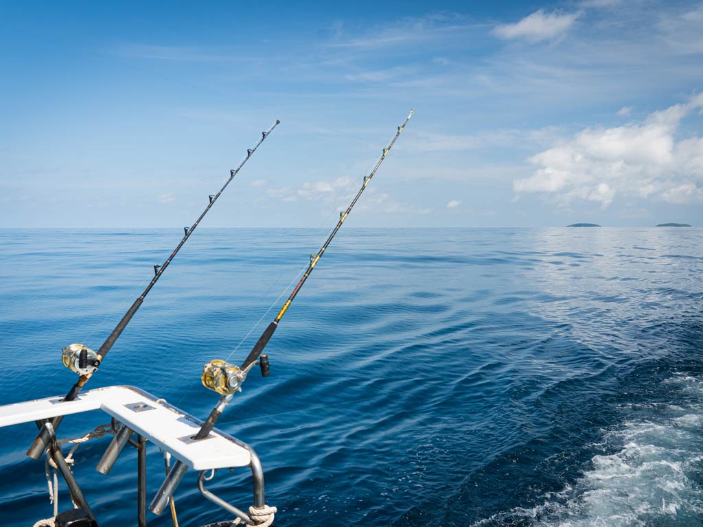 How to Go Deep Sea Fishing in California: The Complete Guide (Updated 2023)