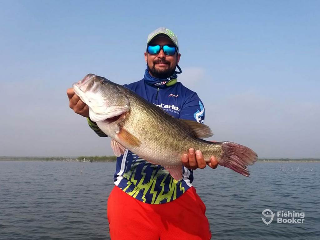 Mexico Fishing: The Ultimate Guide (Updated 2023)