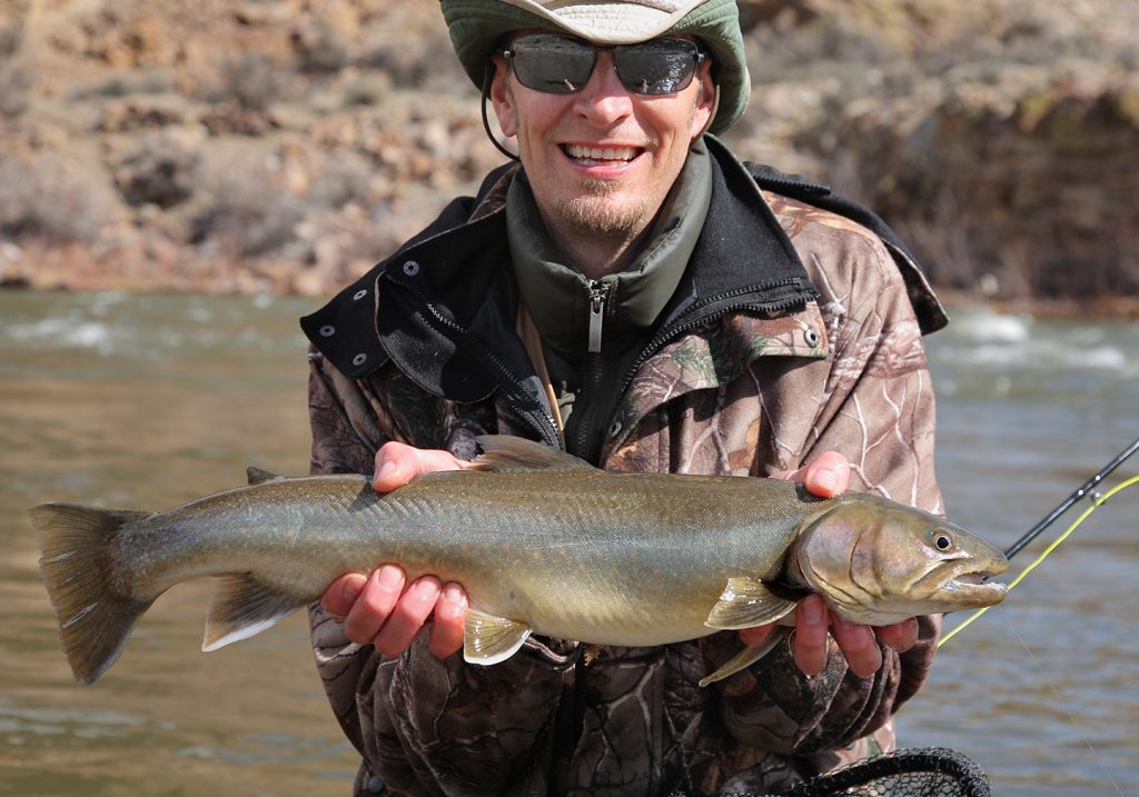 Forel van Noord-Amerika: de volledige gids | Hippocrates Guild