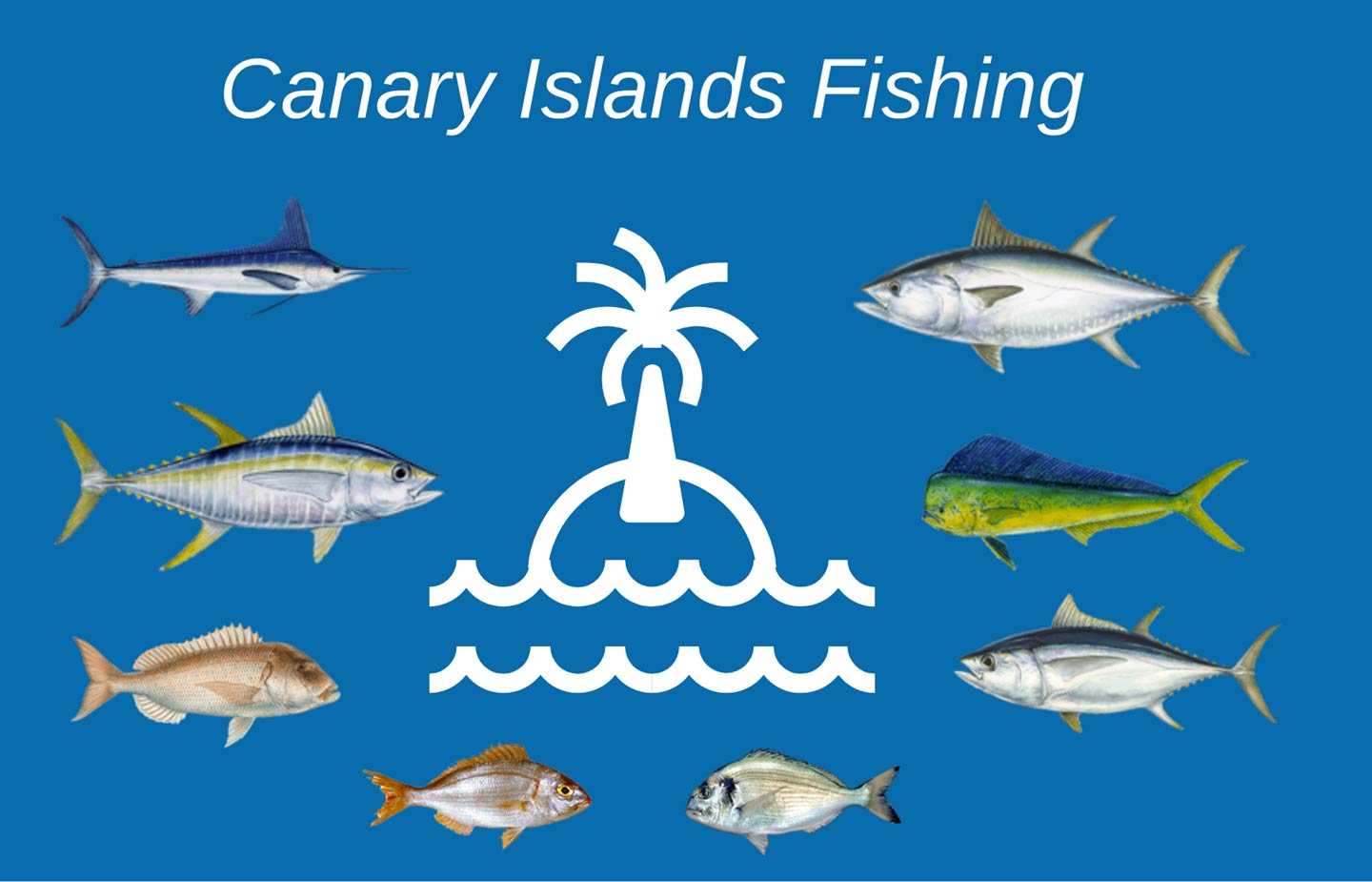 Fishing in Spain: All You Need to Know