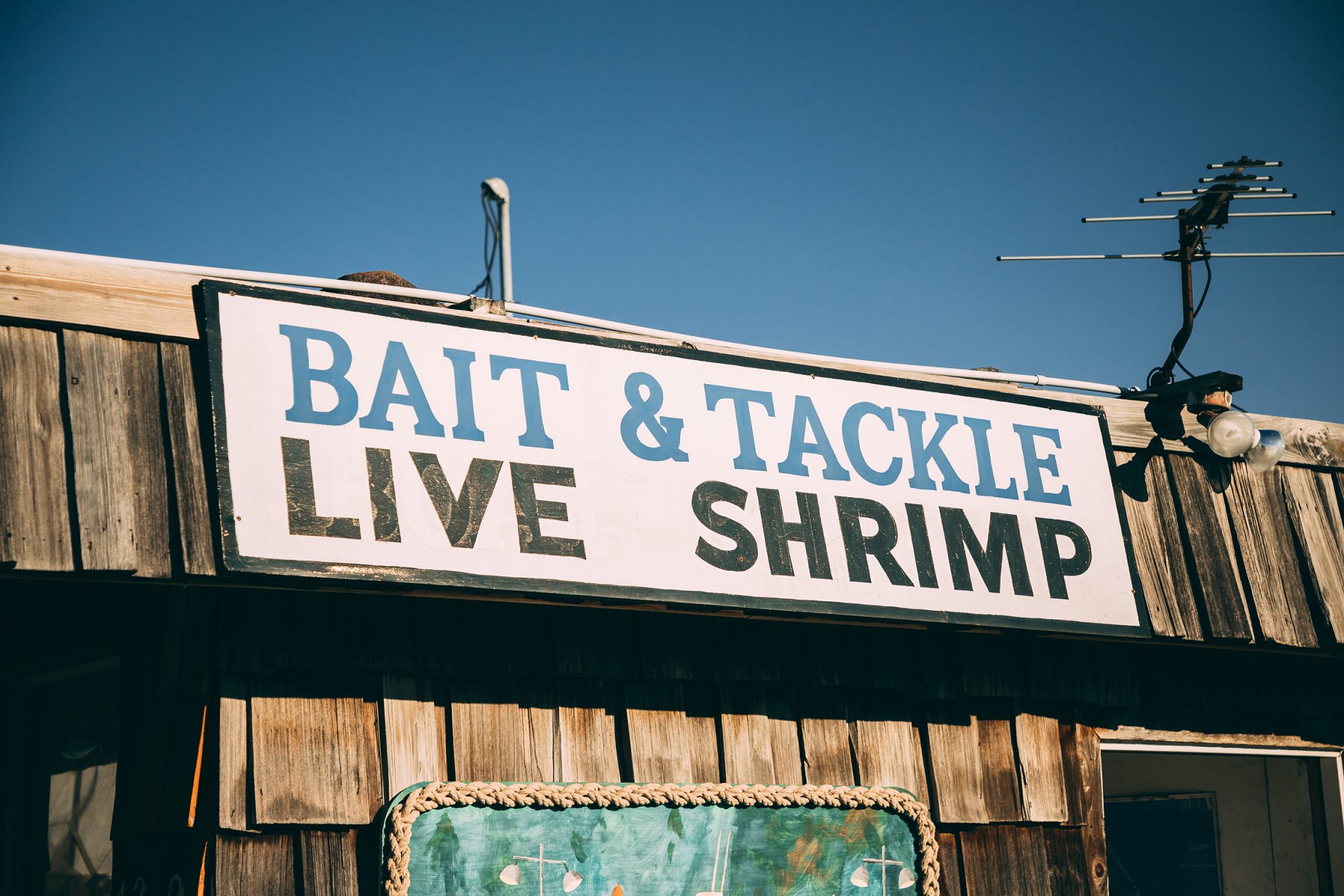 Florida Fishing License: The Complete Guide (Updated 2022)