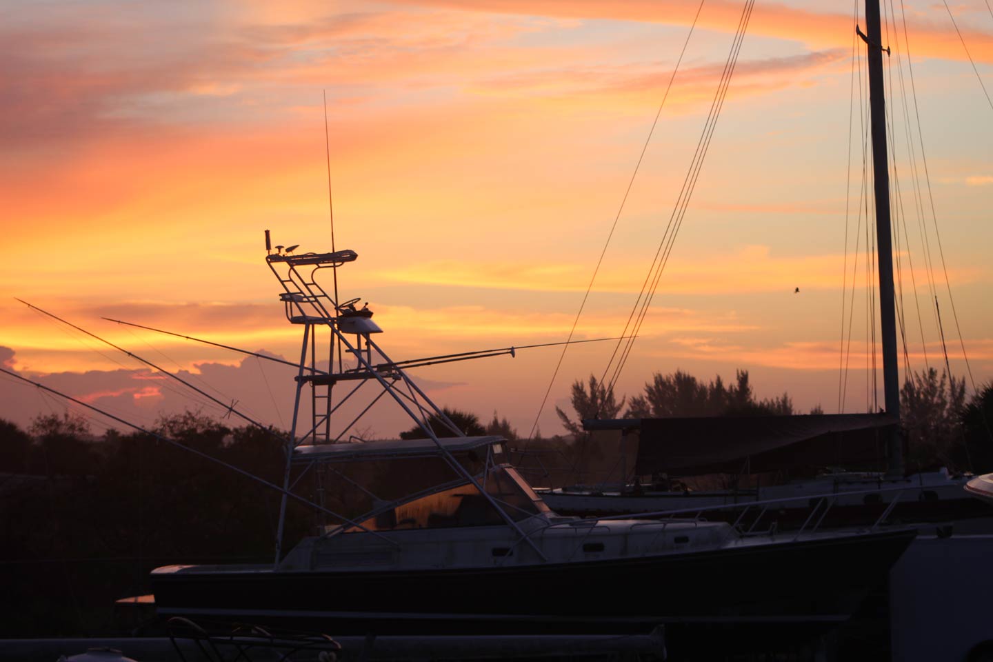 Fishing in Fort Pierce: All You Need to Know
