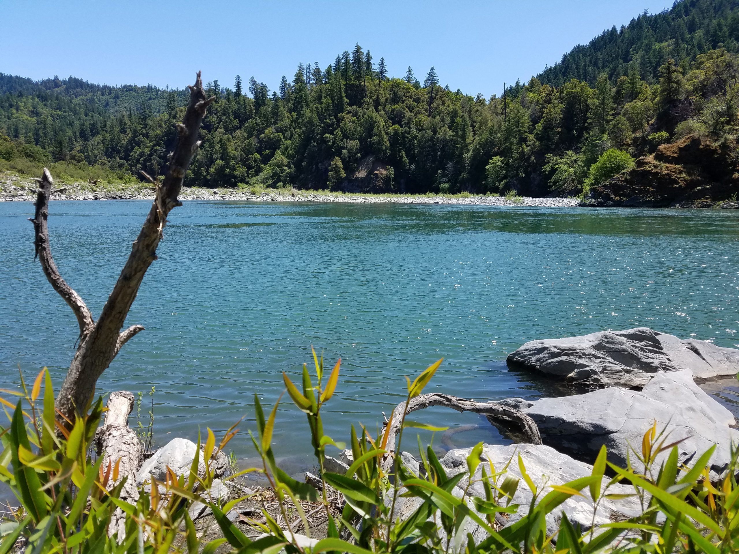 Trinity River Fishing: The Complete Guide