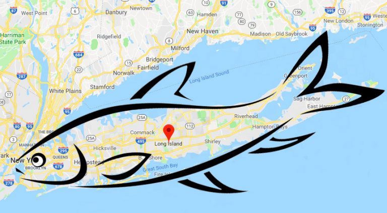 How to Fish for Striped Bass in Long Island: The Complete Guide ...