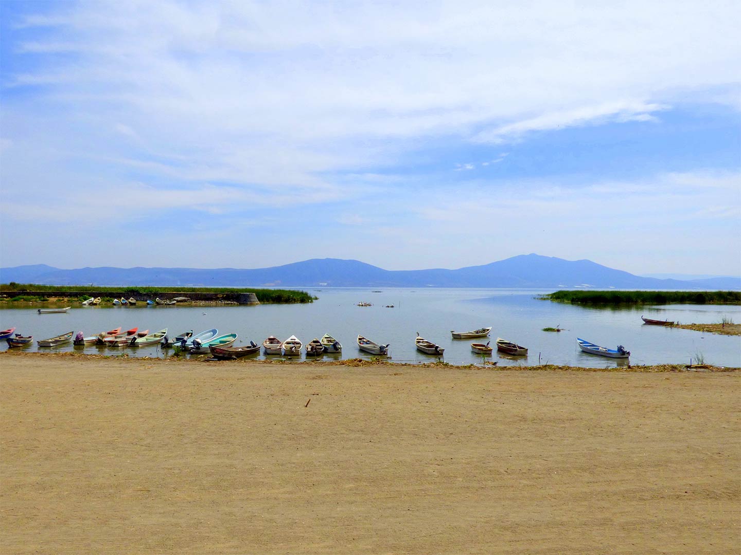 Mexico Fishing: The Complete Guide (Updated 2022)