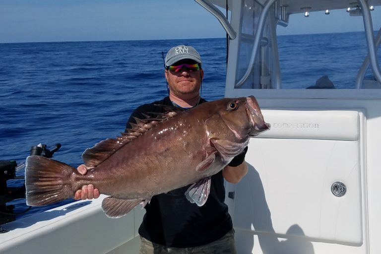 Miami Fishing: The Complete Guide (Updated 2023)