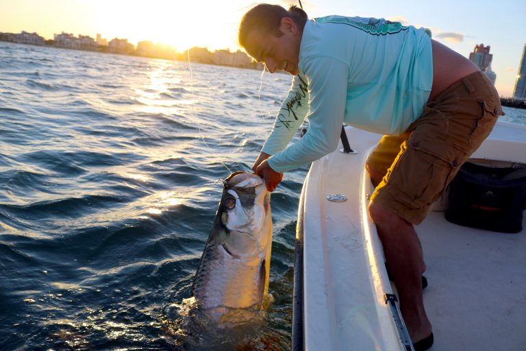 Miami Fishing: The Complete Guide (Updated 2023)