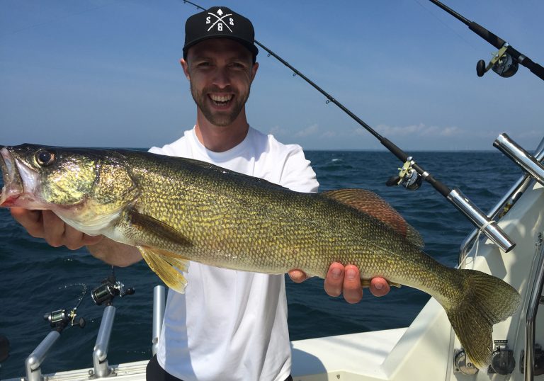 Minnesota State Fish: An Introduction to Walleye (Updated 2023)