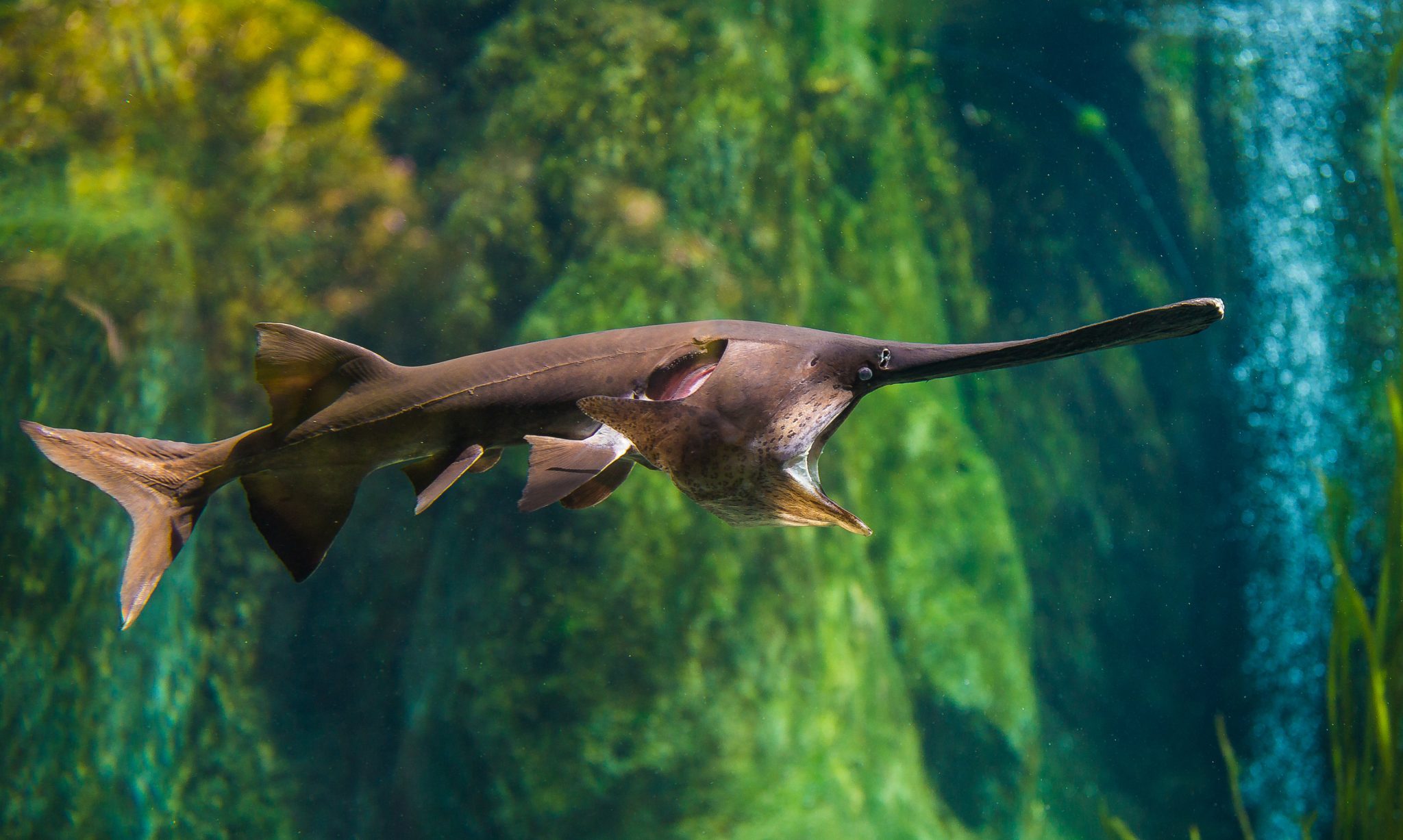 Table Rock Lake Fishing: The Complete Guide (Updated 2023)