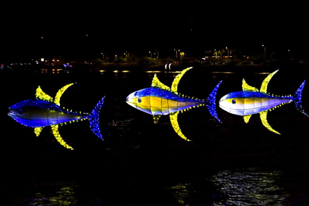 Quepos Fishing: The Complete Guide