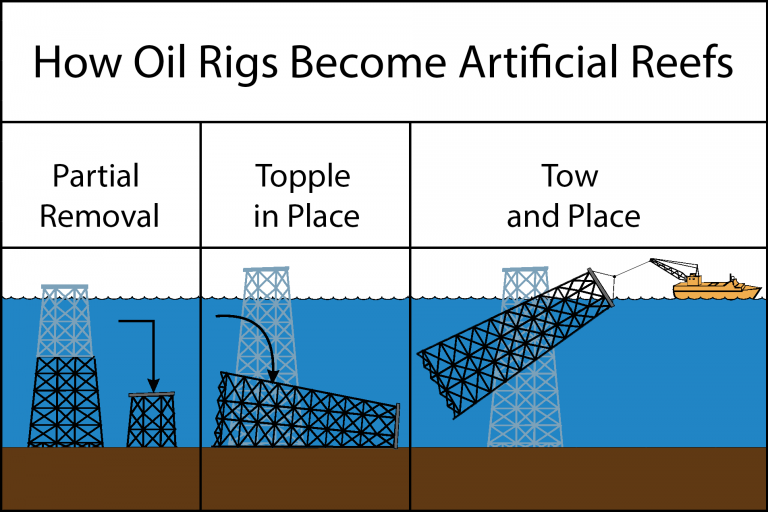 How to Go Oil Rig Fishing in the Gulf of Mexico: The Complete Guide