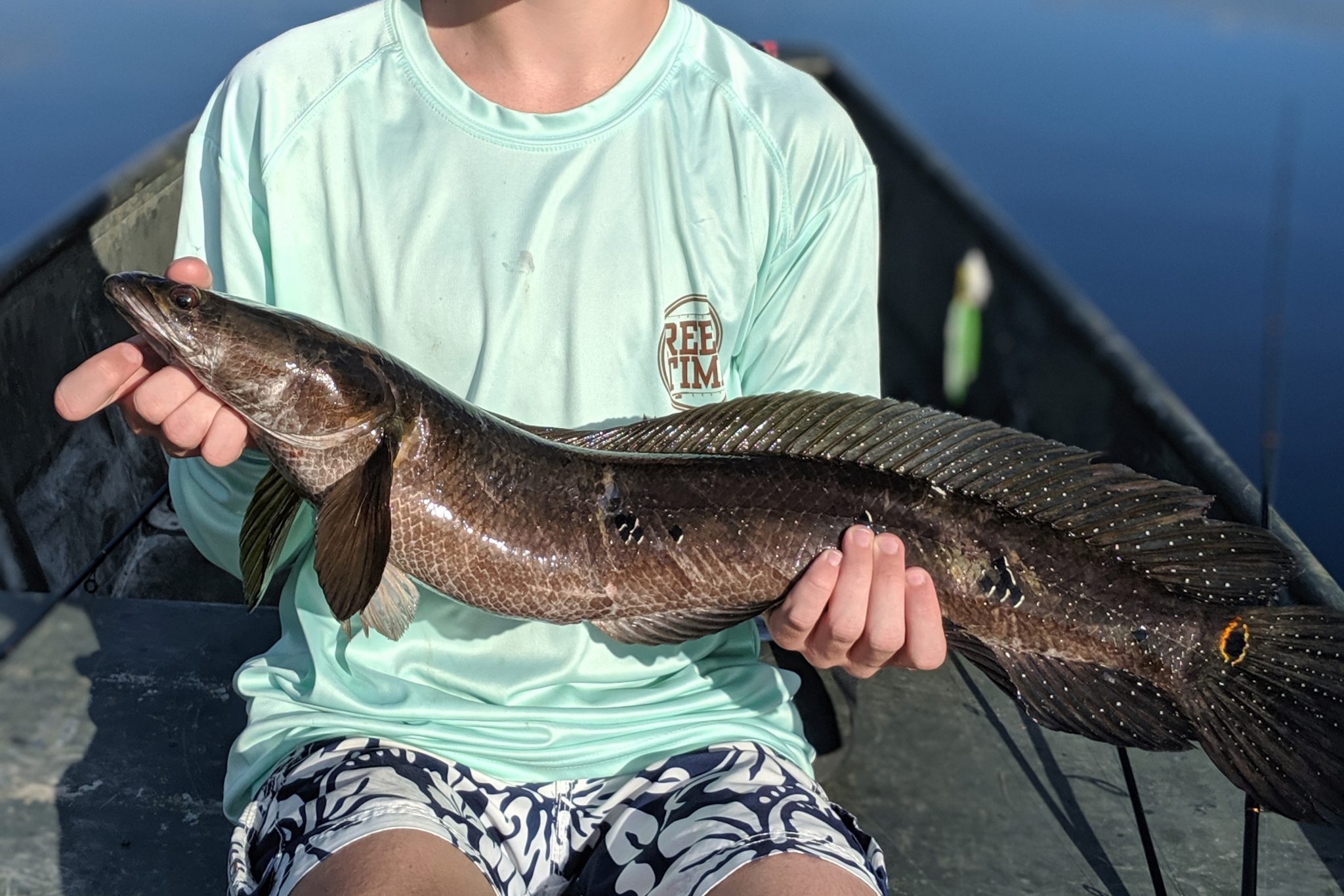 Potomac River Fishing: The Complete Guide