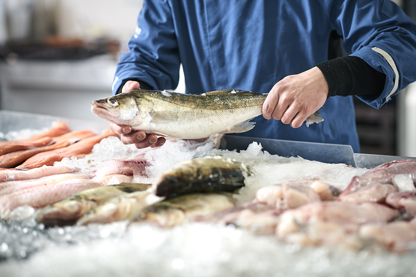 Sustainable Fish: All You Need to Know