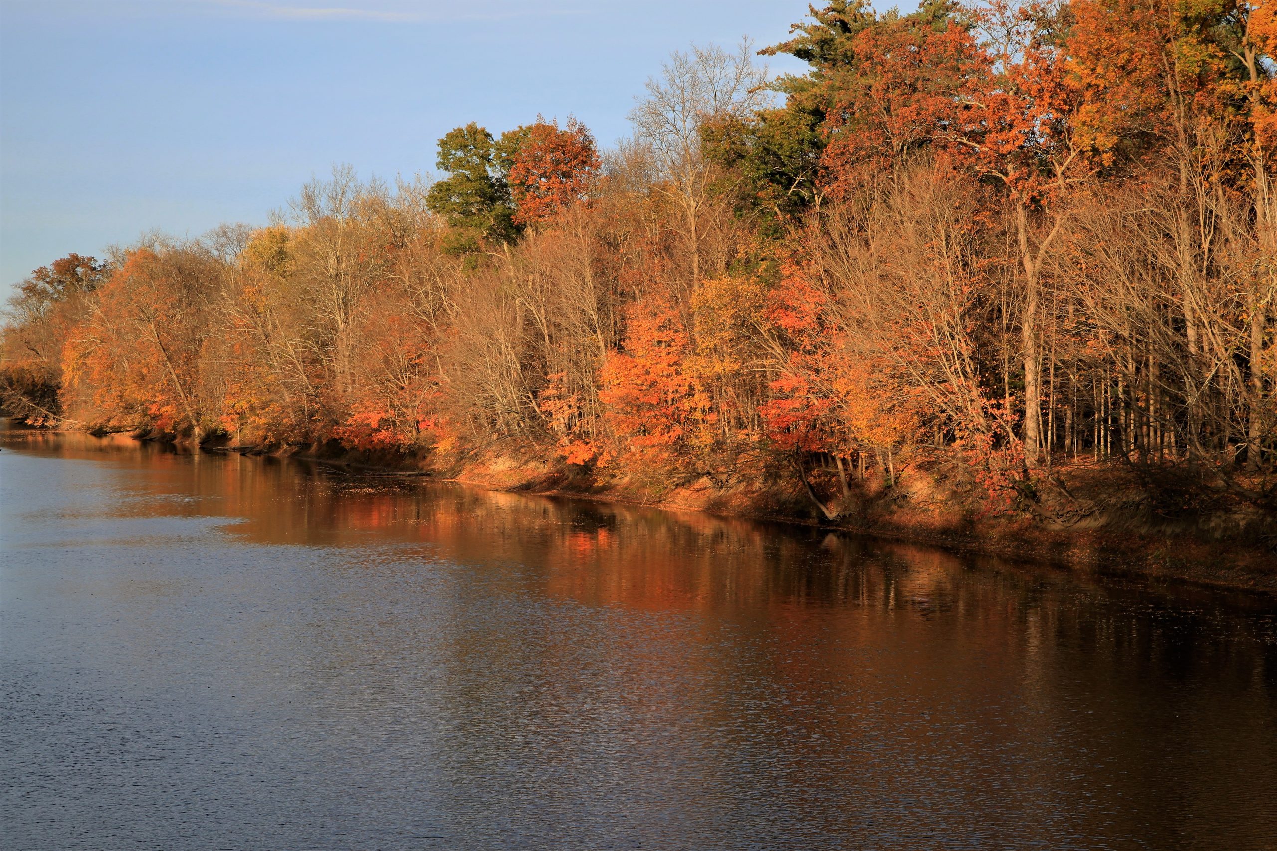 Hudson River Fishing: The Complete Guide (Updated 2023)