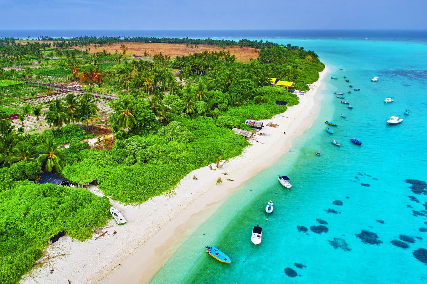 Maldives Fishing: Everything You Need to Know