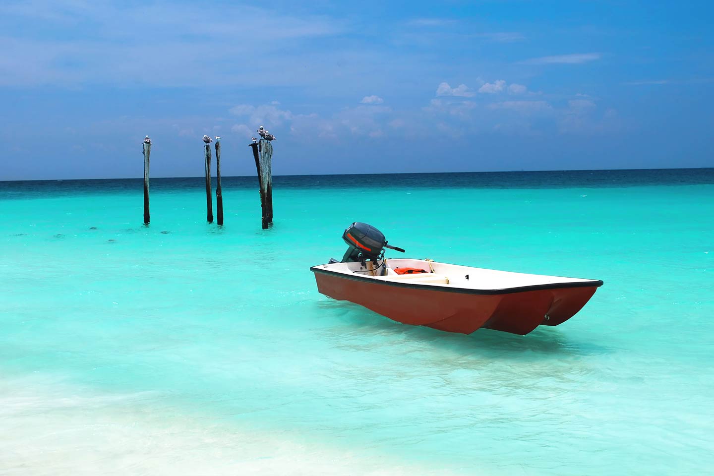 Aruba Fishing: The Complete Guide (Updated 2022)