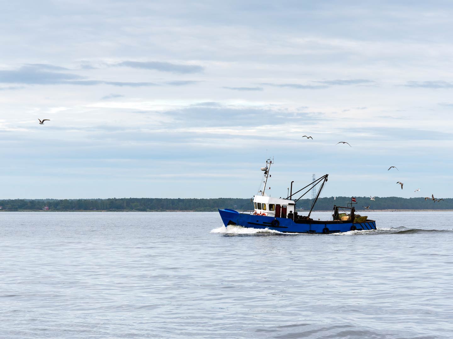 Baltic Sea Fishing: The Complete Guide (Updated 2023)