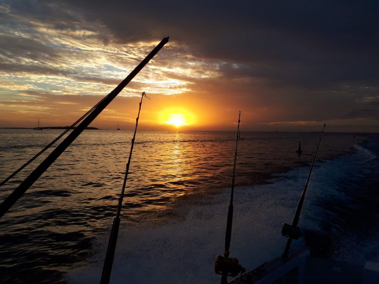 Bottom Fishing: The Complete Guide